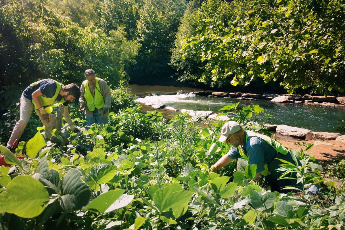 Azalea Road Workday | Riverlink