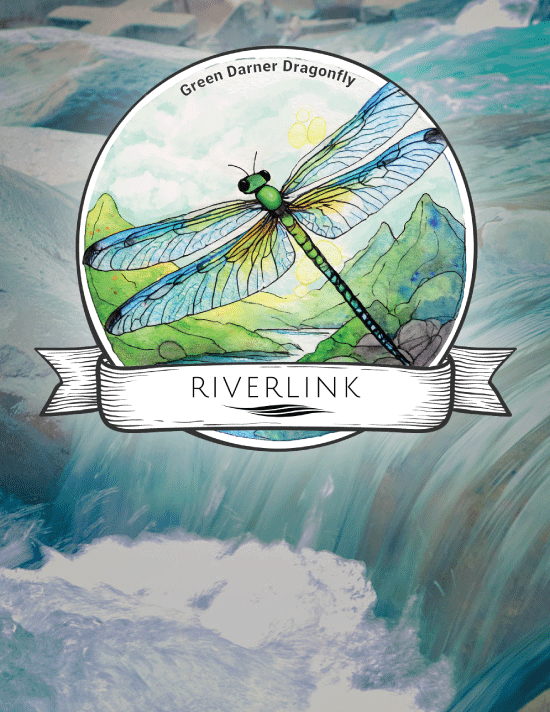 RiverLink | Conservation and Vitality for the French Broad River
