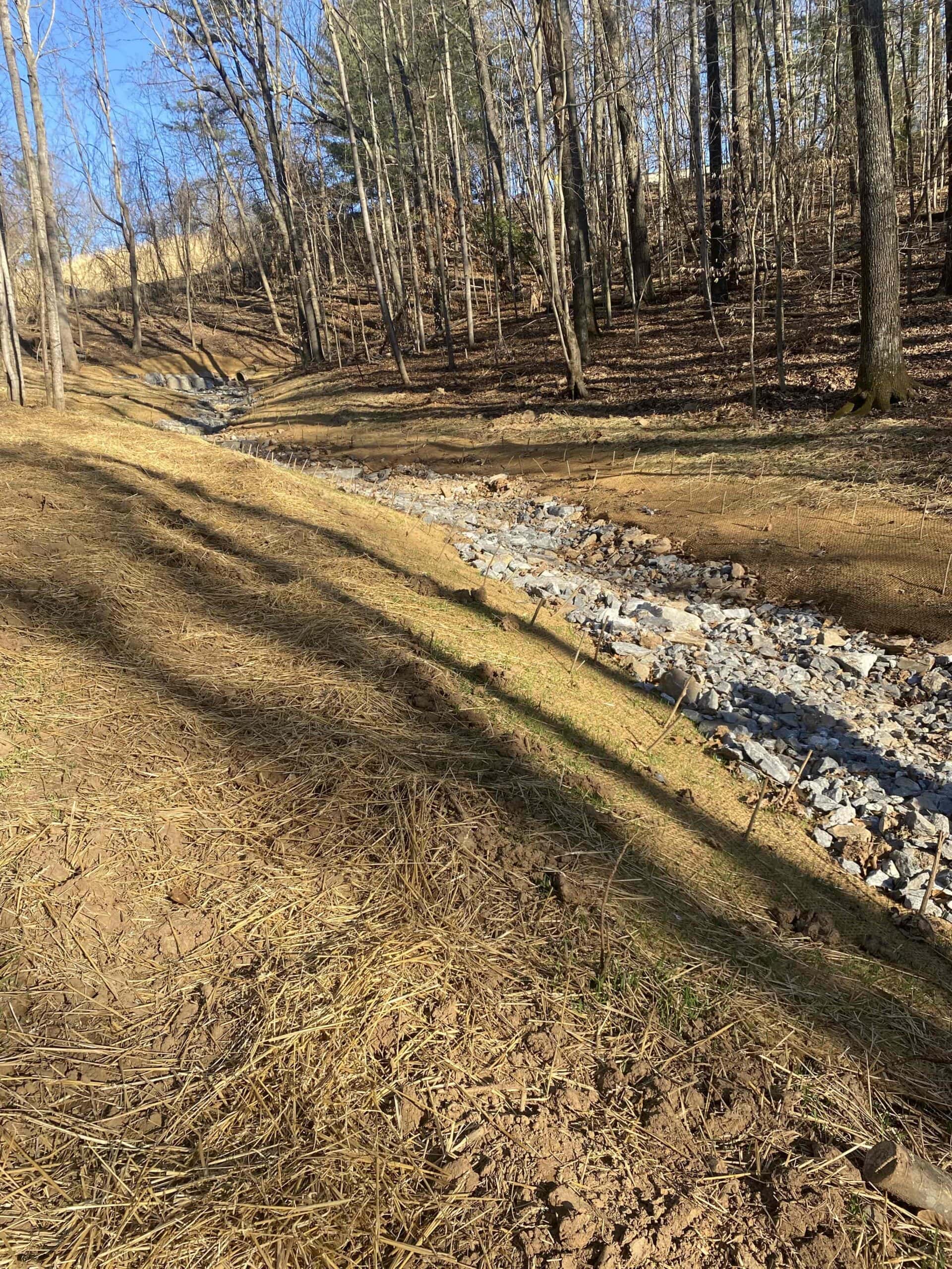 A-B Tech Green Infrastructure Project | Riverlink