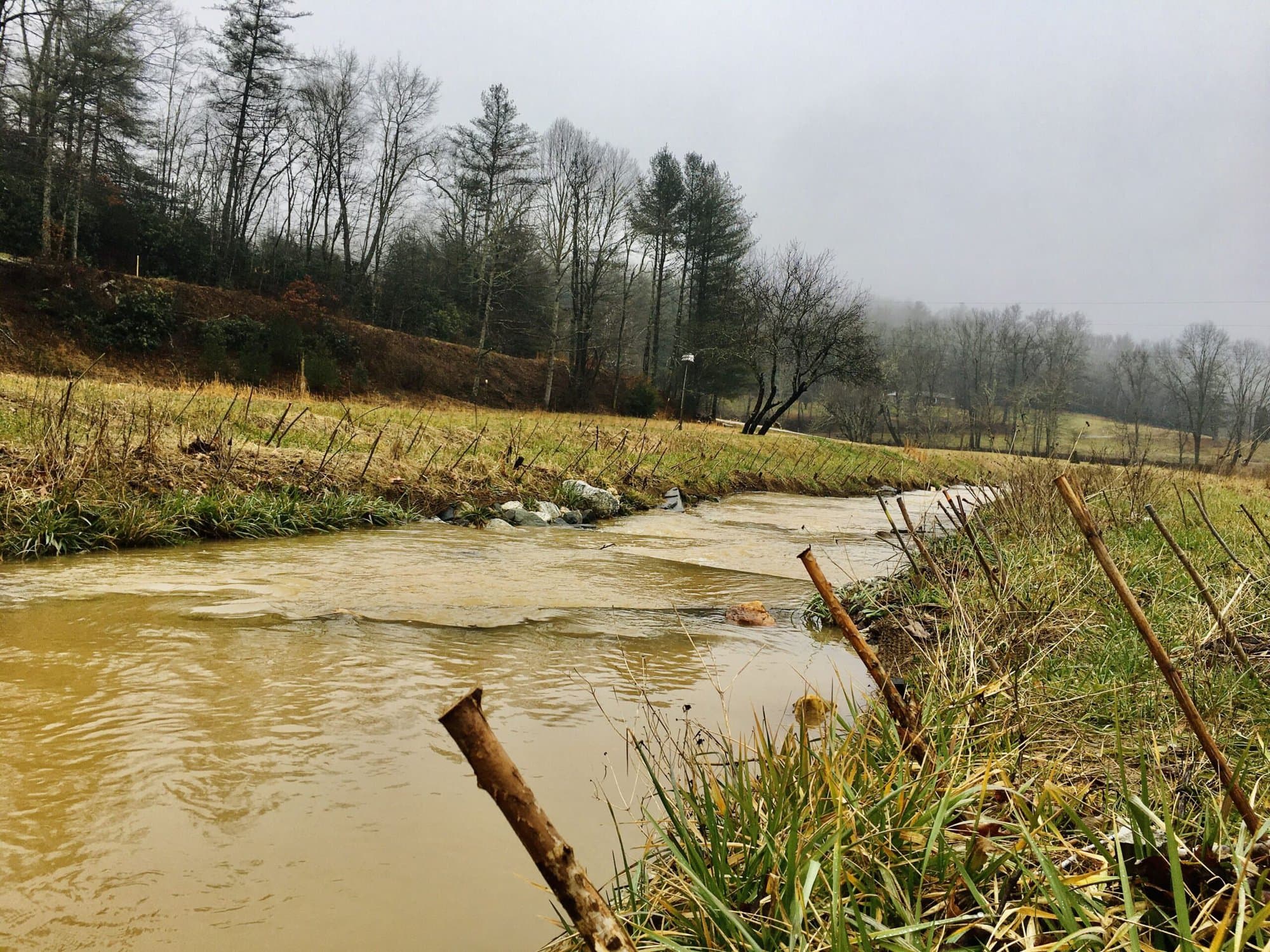 Live Staking Workshop at Azalea Park - (Registration Full) | Riverlink