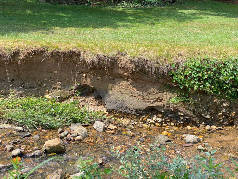 Adopt-A-Stream | Riverlink