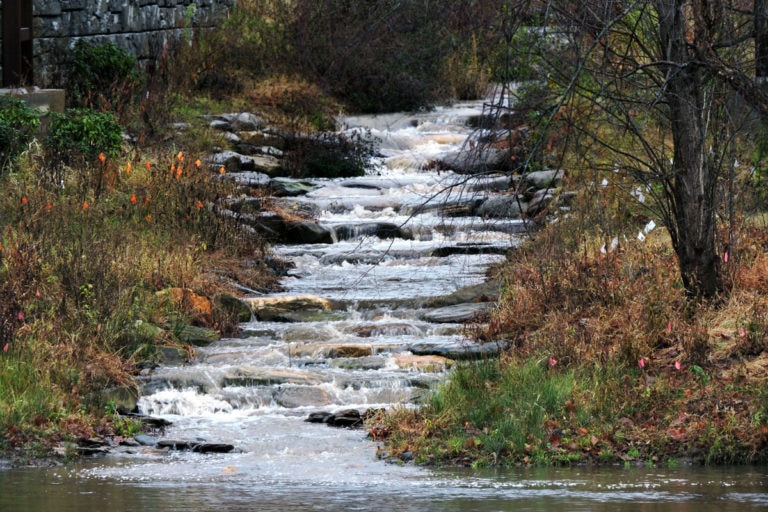 Get Informed | Riverlink