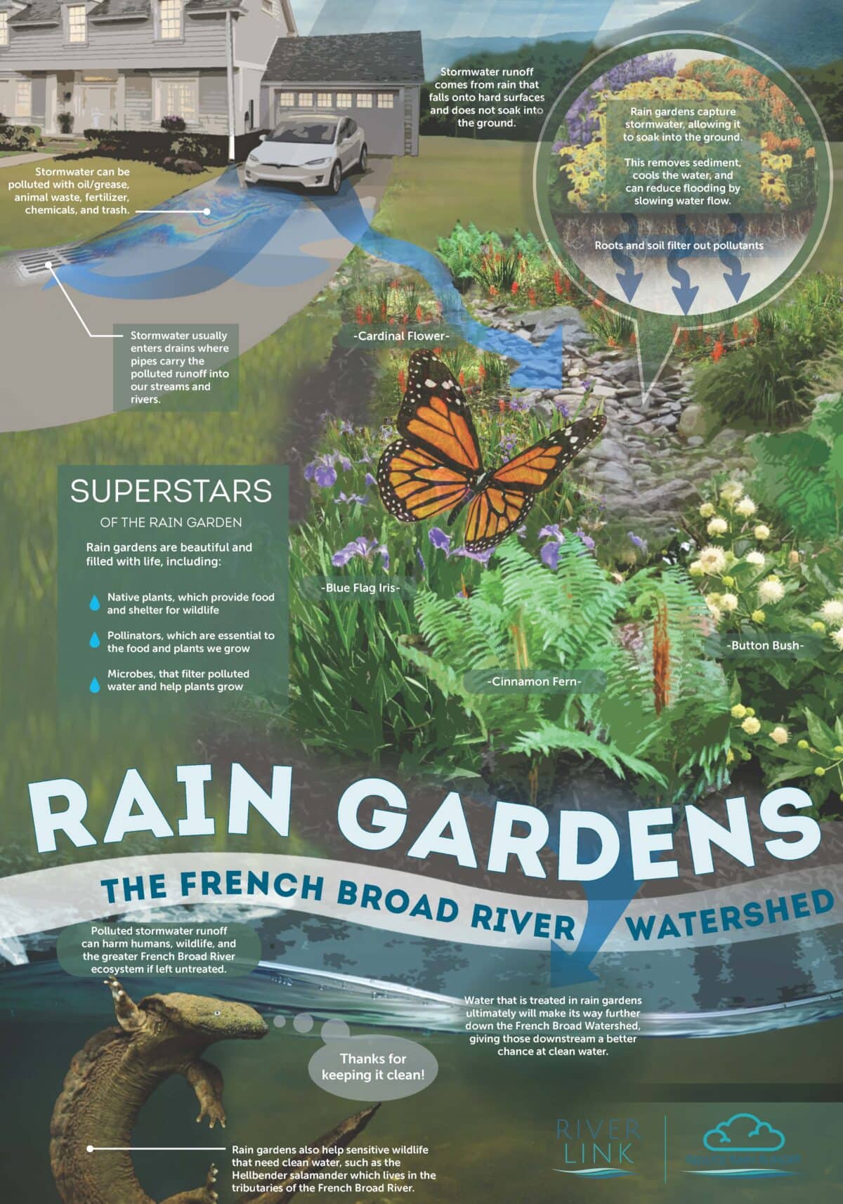 Resident's Guide to Stormwater | Riverlink