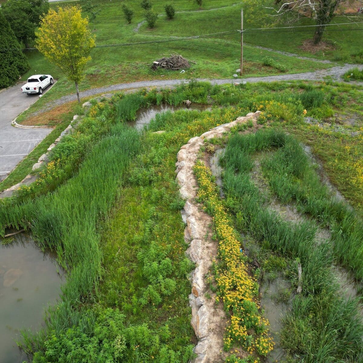 Reduce Rain Runoff | RIverLink